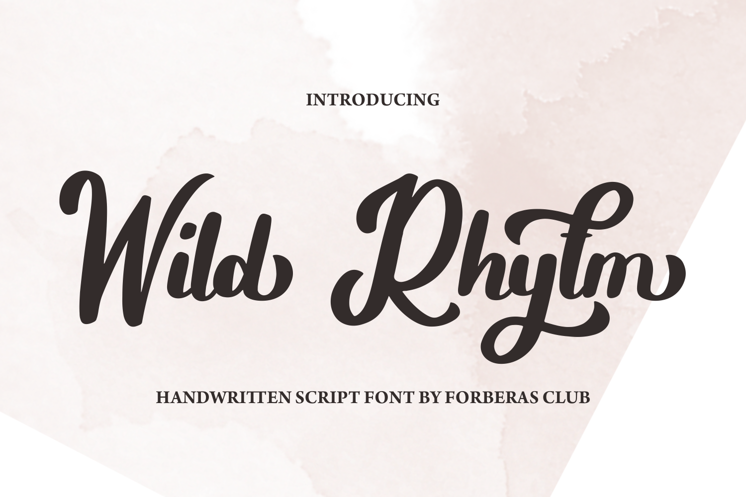 Wild Rhytm | Handwritten Font, a Script Font by Forberas Club