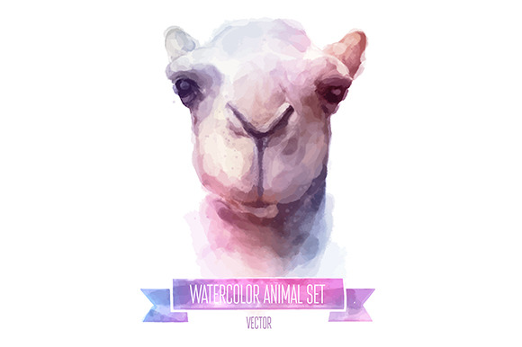 Watercolor set of animals | Camel, an Animal Illustration by Krolone