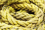marine rope, an Industrial Photo by mimadeo