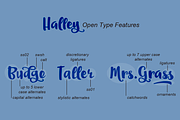 Halley, a Script Font by Eurotypo