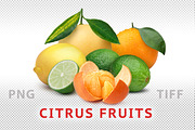 Citrus fruits, an Object Graphic by Hortimages