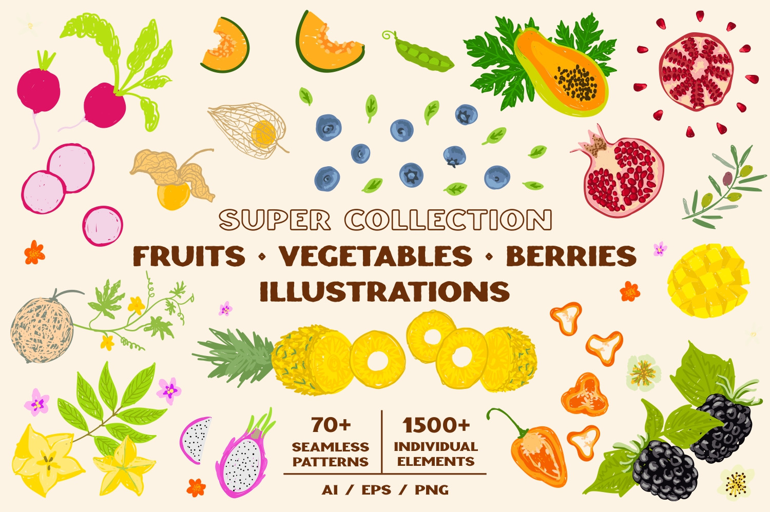 FRUIT/VEGETABLE/BERRY ILLUSTRATION SET