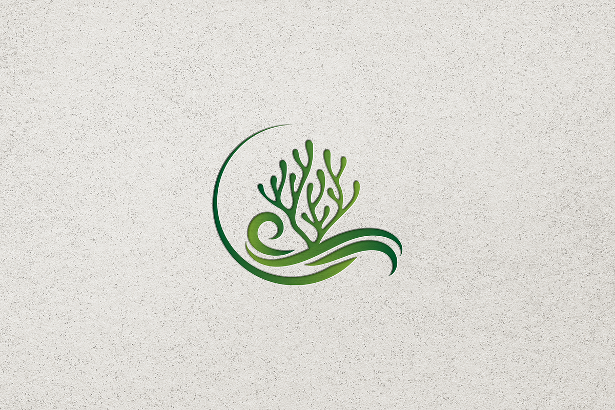 Minimalist Modern Sea Moss Logo