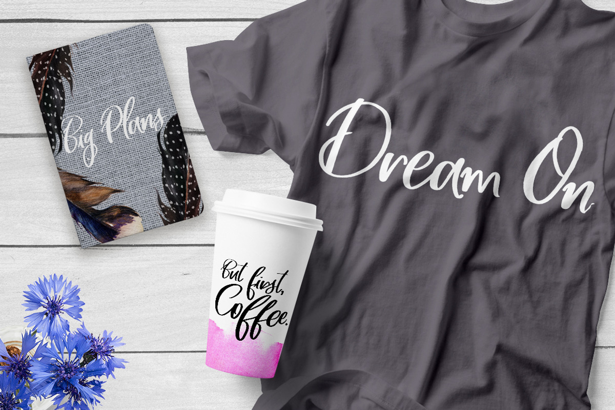 La Parisienne Brush Script, a Script Font by Shelly Laslo Illustration