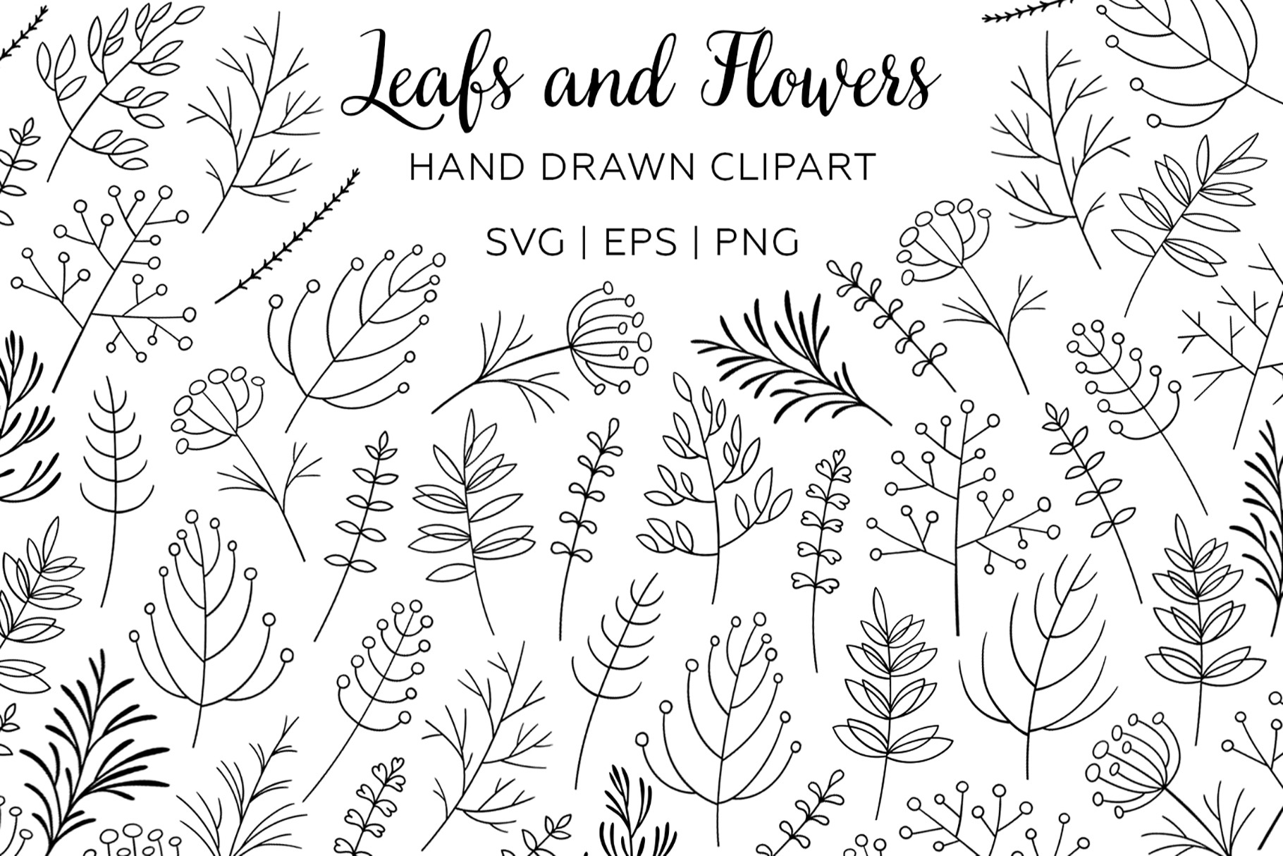 Leaf and Flower clipart. Botanical | Illustrations ~ Creative Market