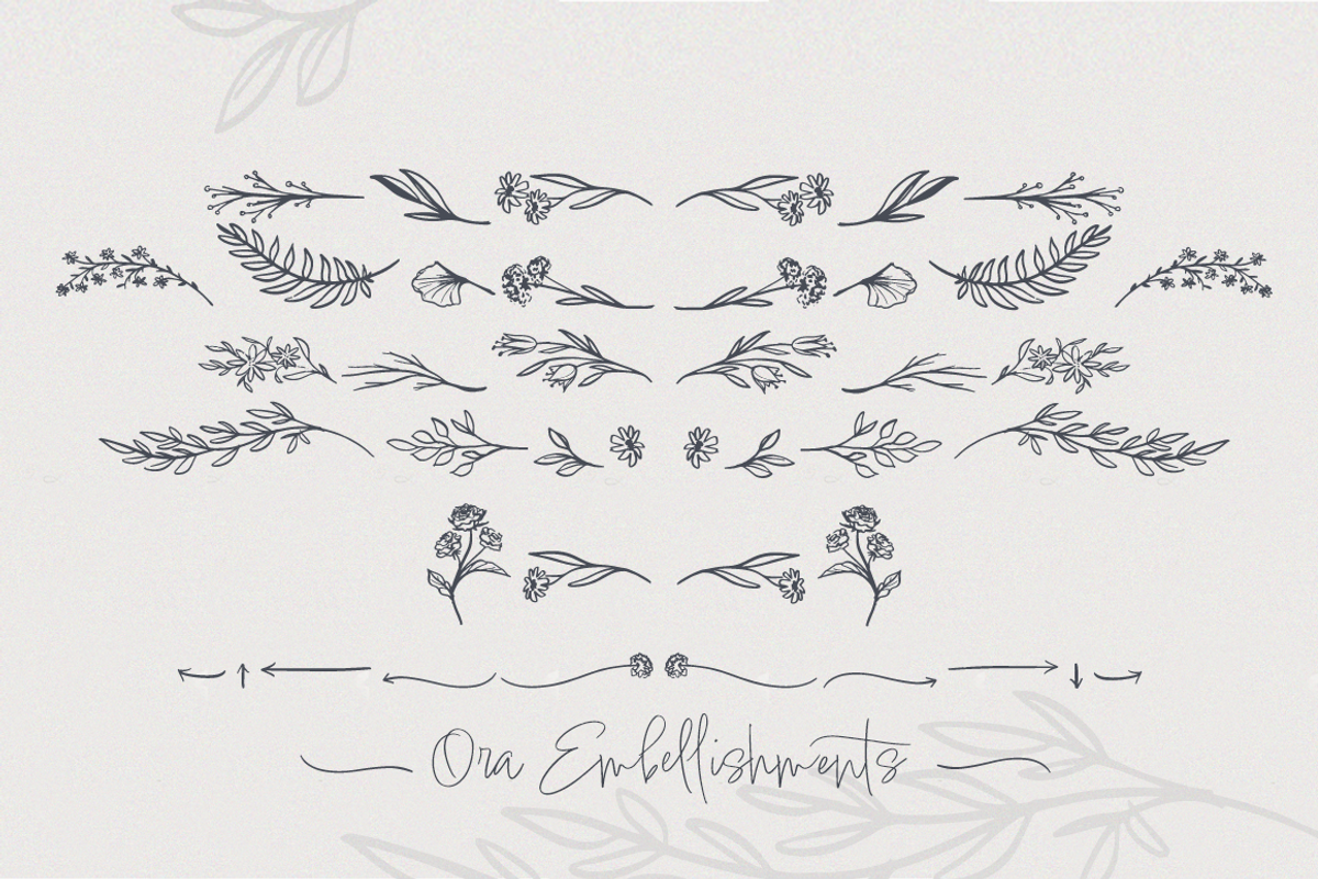 Ora Erwin : Signature Font Duo, a Script Font by KLUGE+CO
