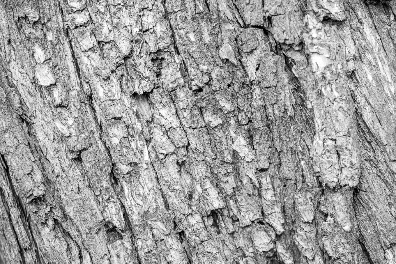 Rough texture background featuring awesome, background, and beautiful ...