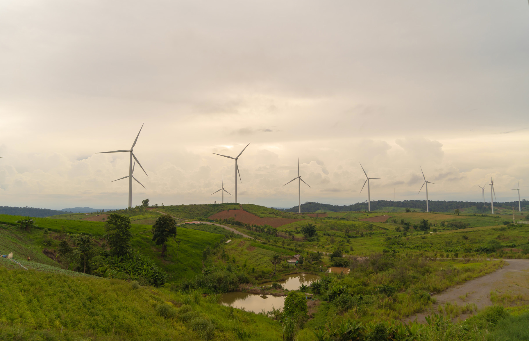 Aerial view of wind turbines or wind, a Photo by Tampatra
