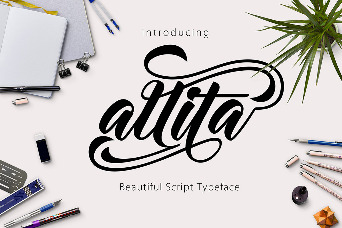 Allita Script, a Script Font by Olexstudio