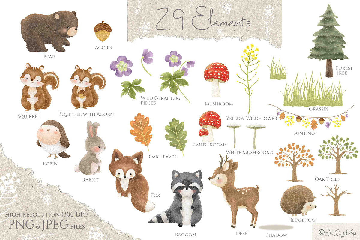 Woodland Animals Clip Art Collection, an Animal Illustration by Jen ...