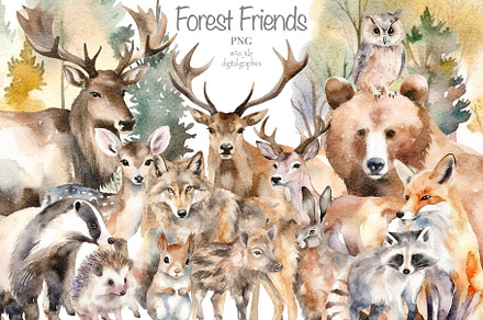 Forest Animals - Vector Clipart, SVG | Animal Illustrations ~ Creative ...