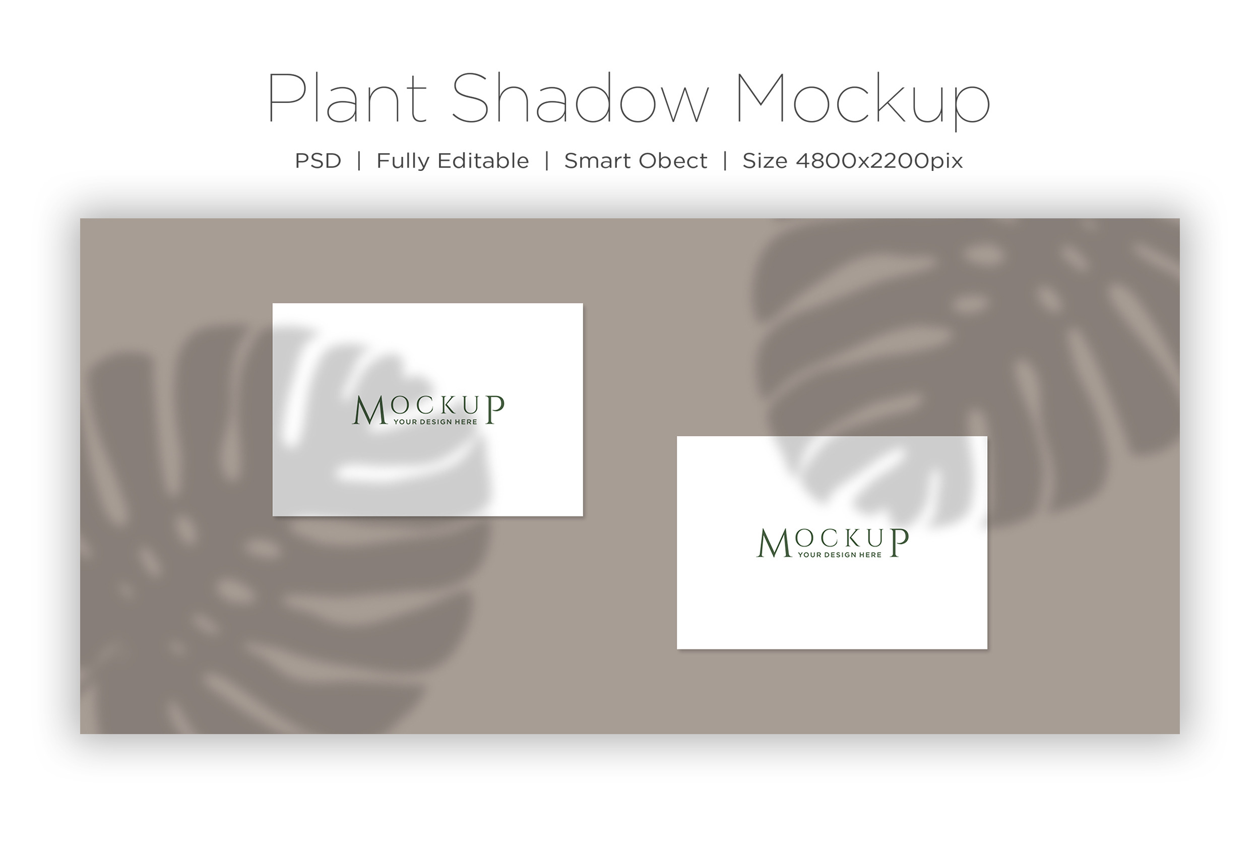 Plant Shadow Mockup Template, a Product Mockup by shahsoft