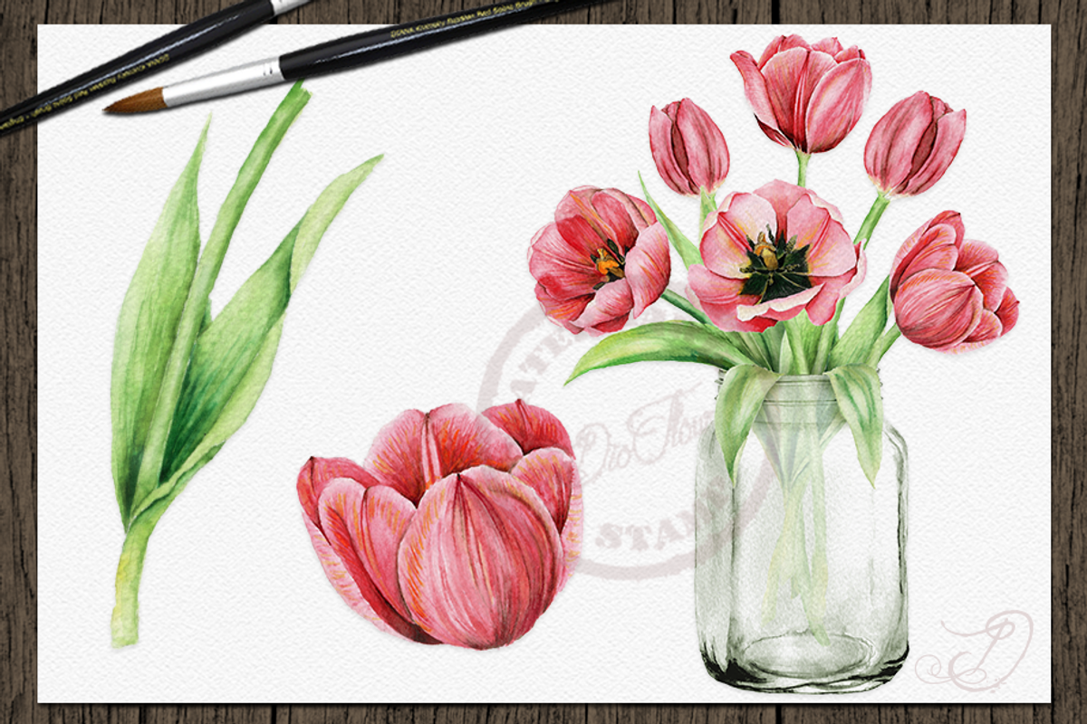 Tulip Watercolor Clip Art, a Decorative Illustration by DioFlow