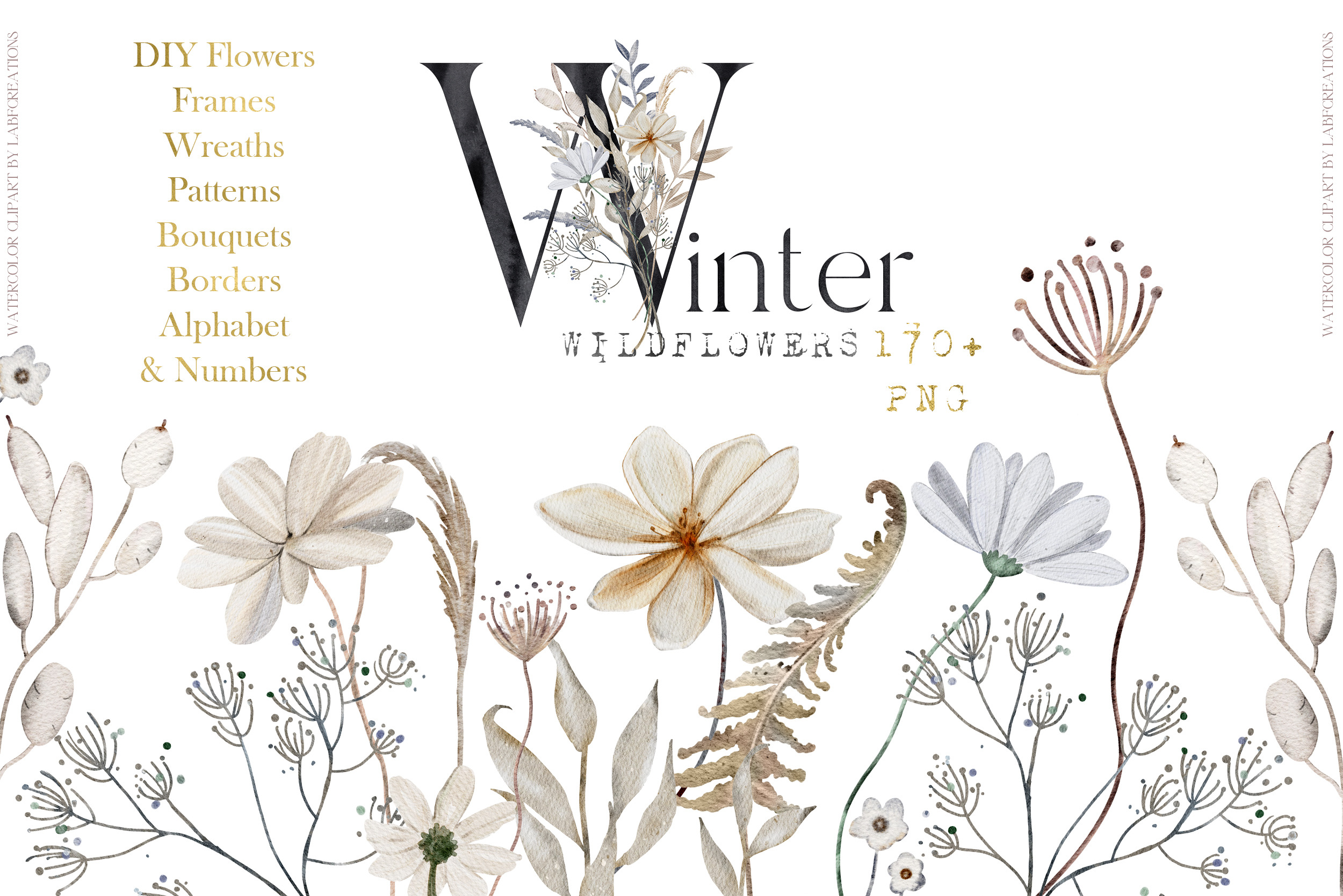 Winter Watercolor Wild Flowers