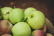 Golden Delicious & Rome Apples, a Food & Drink Photo by Lemonee on the ...