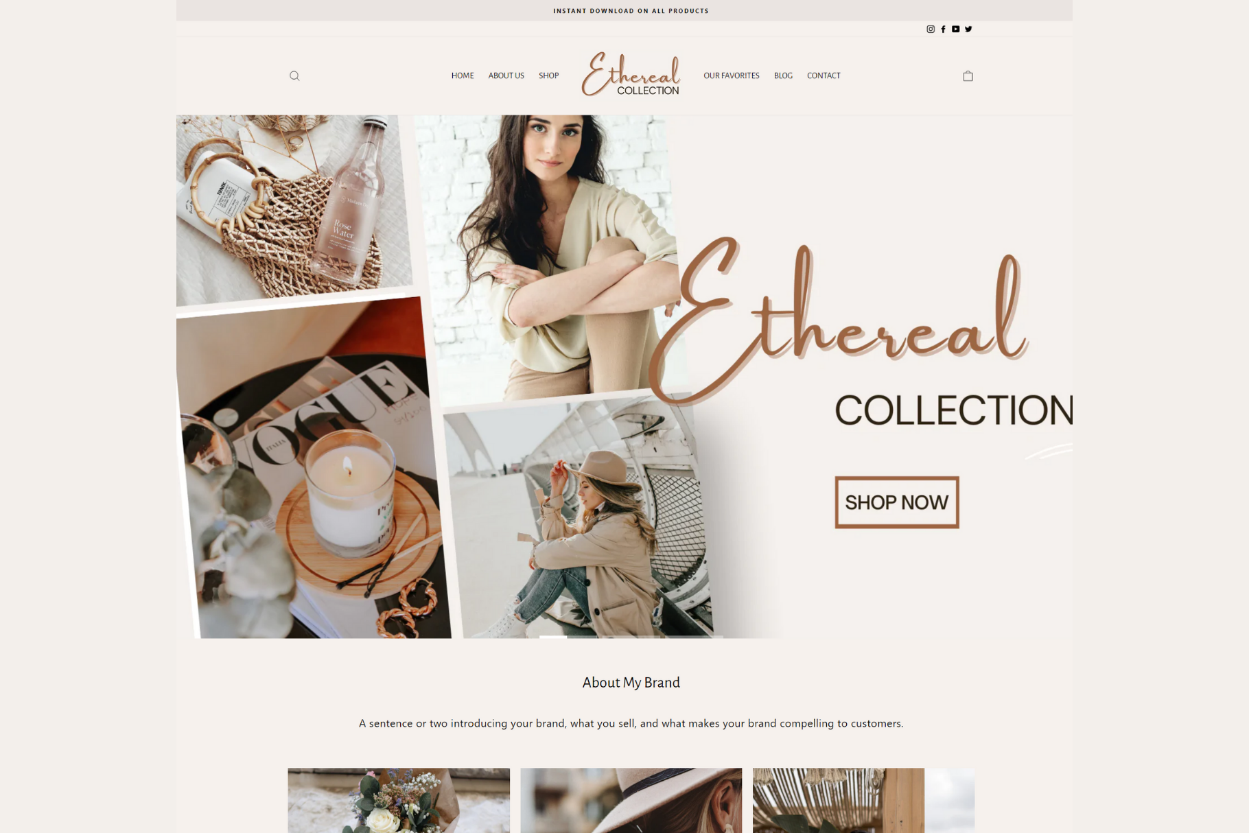 Aesthetic Shopify Theme | Creative Market