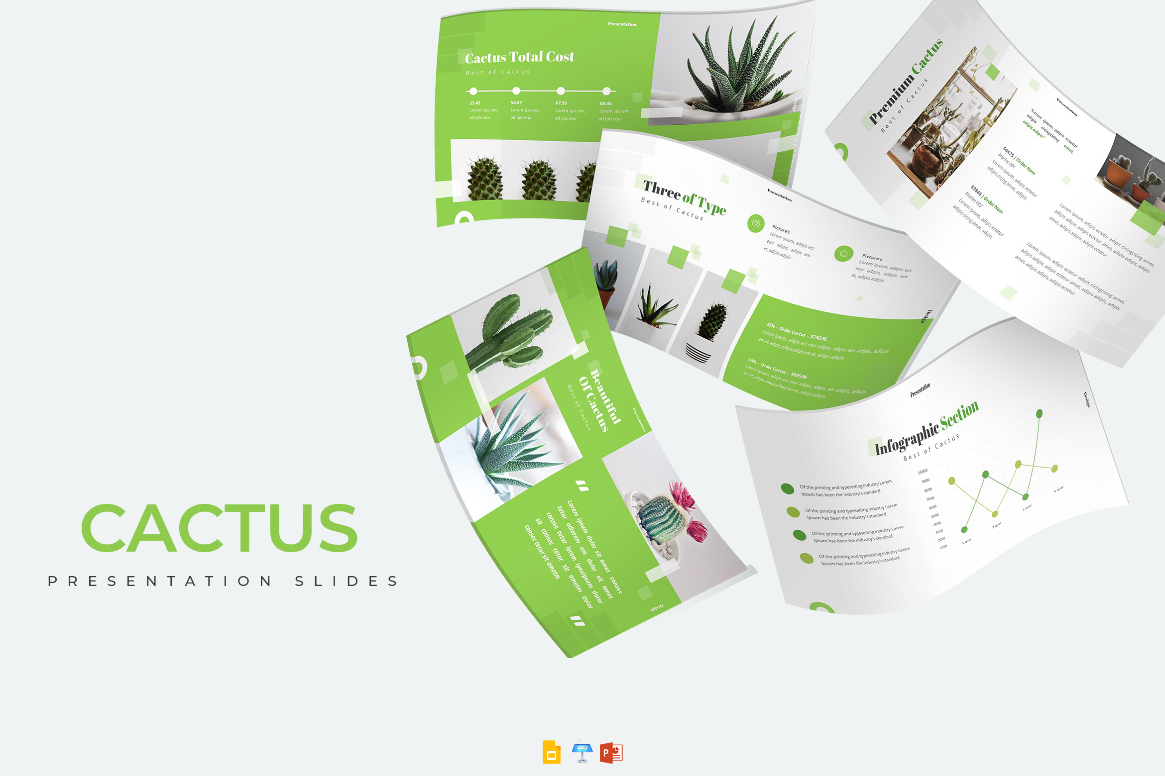Cactus - Presentation Template, a Presentation Template by AQR Studio
