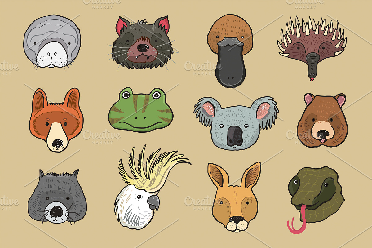 Australian Animals Funny Faces, an Animal Illustration by GooseFrol
