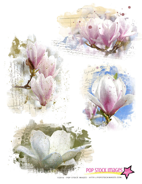 Magnolia Blendable Texture Overlays, a Texture Graphic by ephemoire