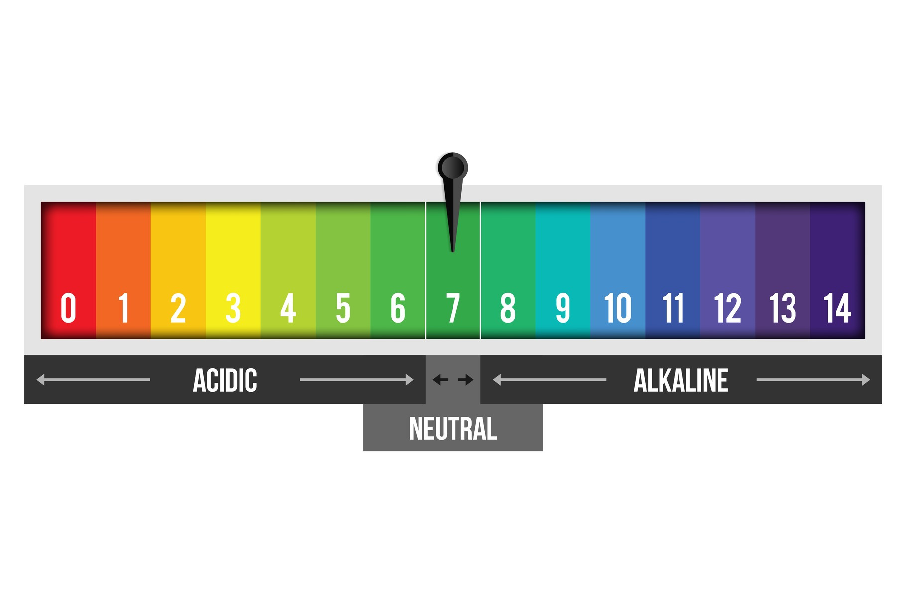 pH scale value, litmus paper element, an Education Illustration by ...