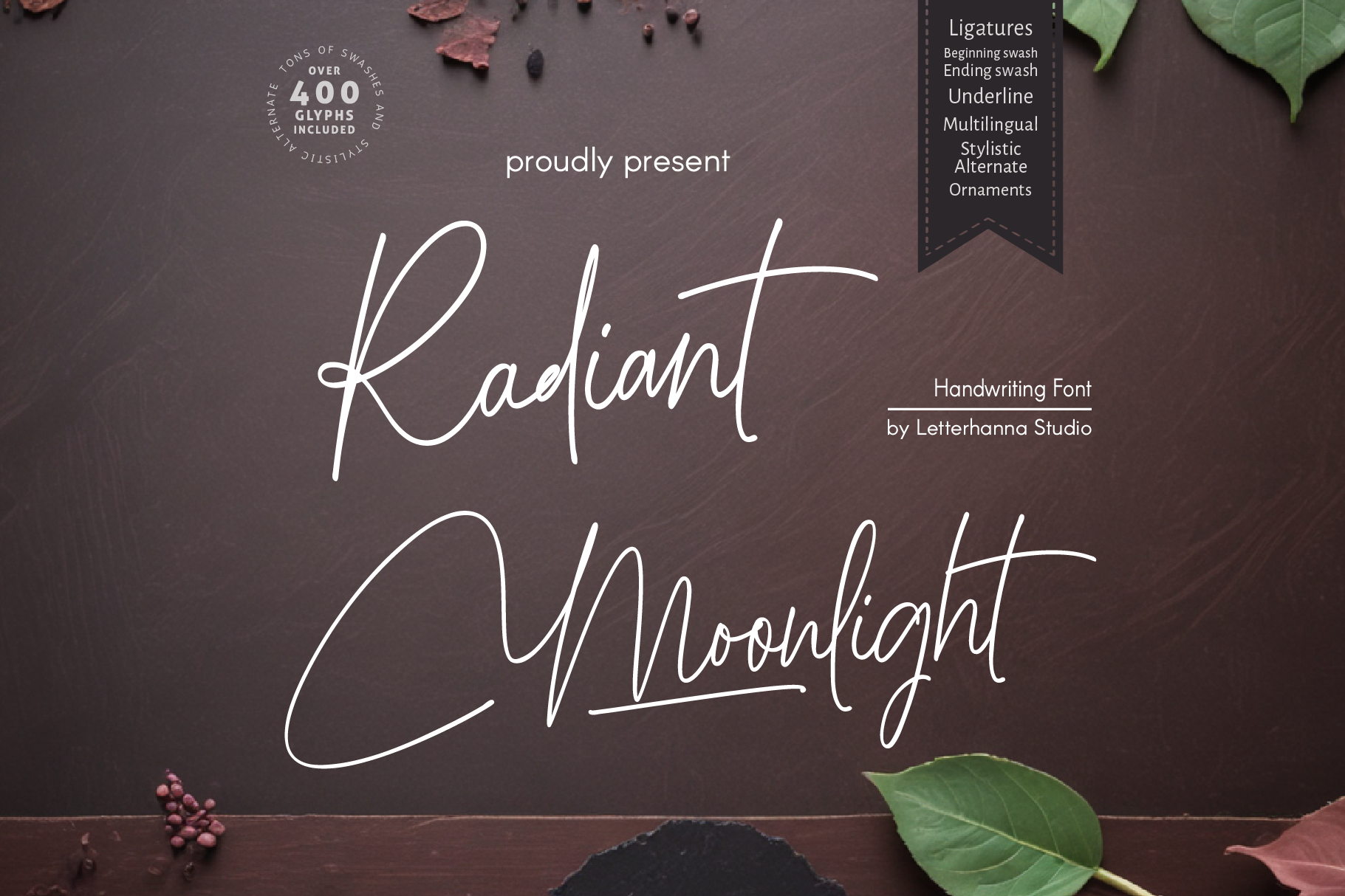 Radiant Moonlight Font, a Handwriting Font by Letterhanna Studio