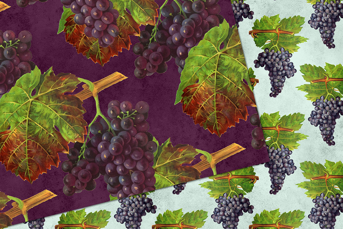 Vintage Grapes Digital Paper, a Pattern Graphic by Digital Curio