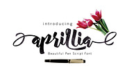 Aprillia Script, a Script Font by Olexstudio | Creative Market