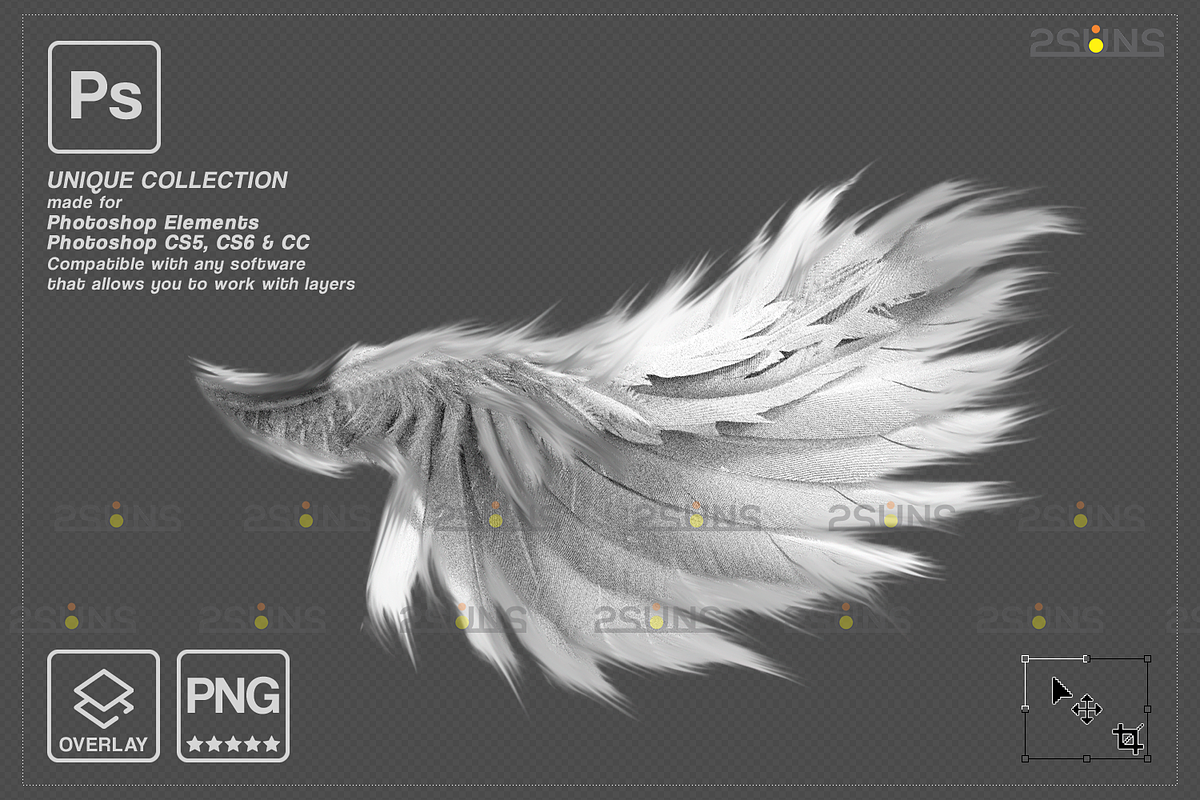 ANGEL WINGS PHOTO OVERLAYS