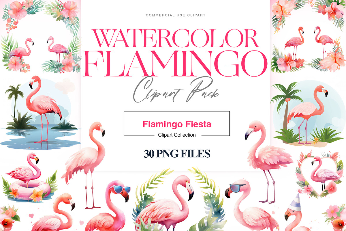 Watercolor Flamingo Clipart, Bird PNG