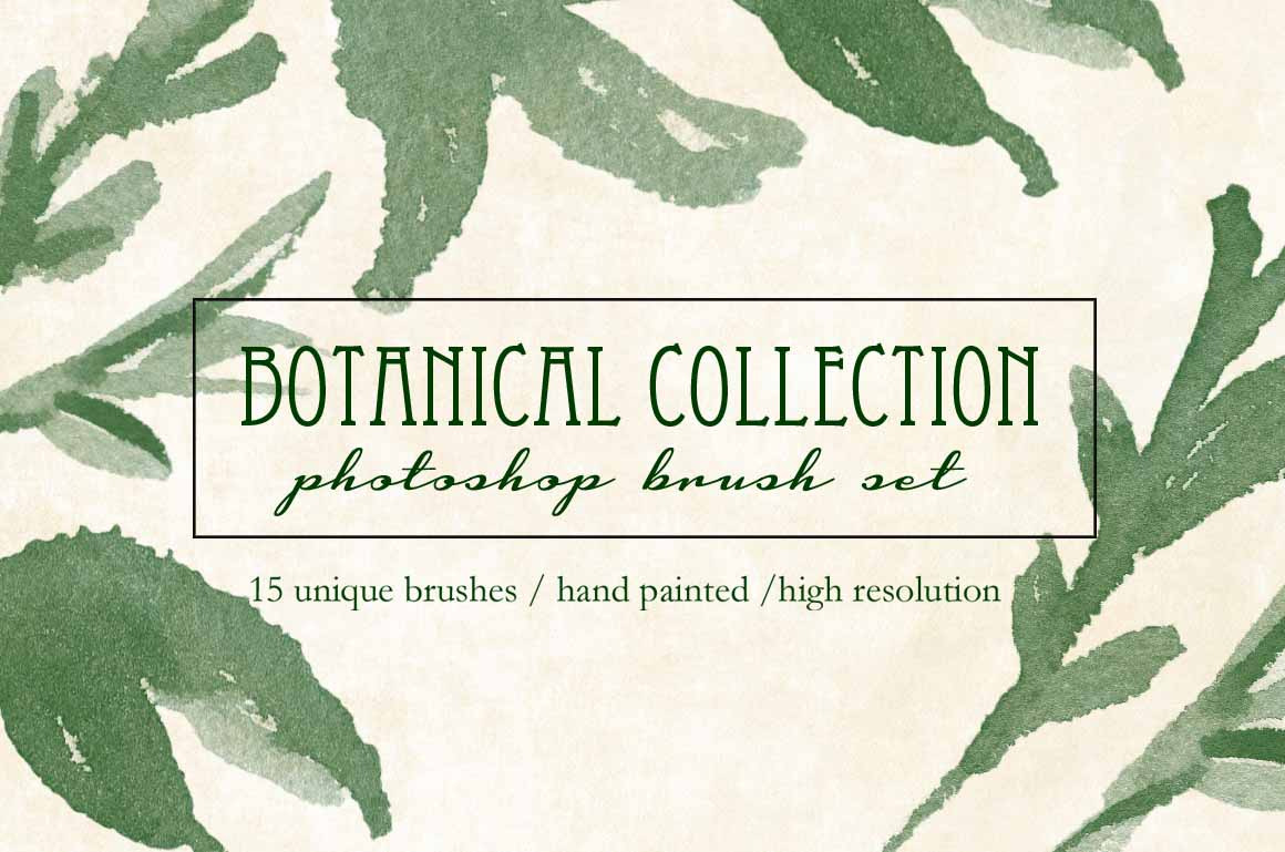 Botanical Brush Collection, a Brush Add-On by Chelsea Bromley