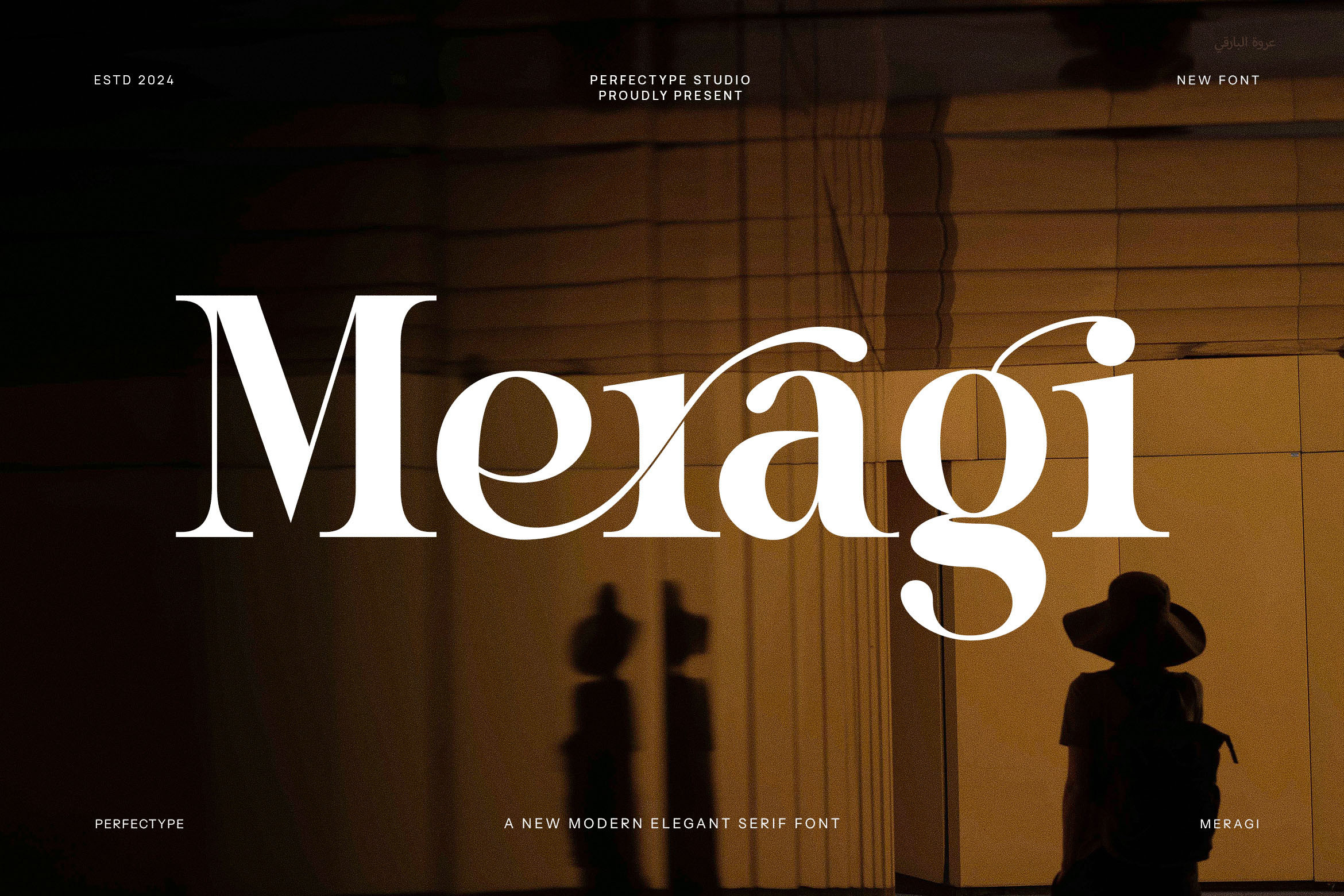 Meragi Modern Serif Font By Perfectype