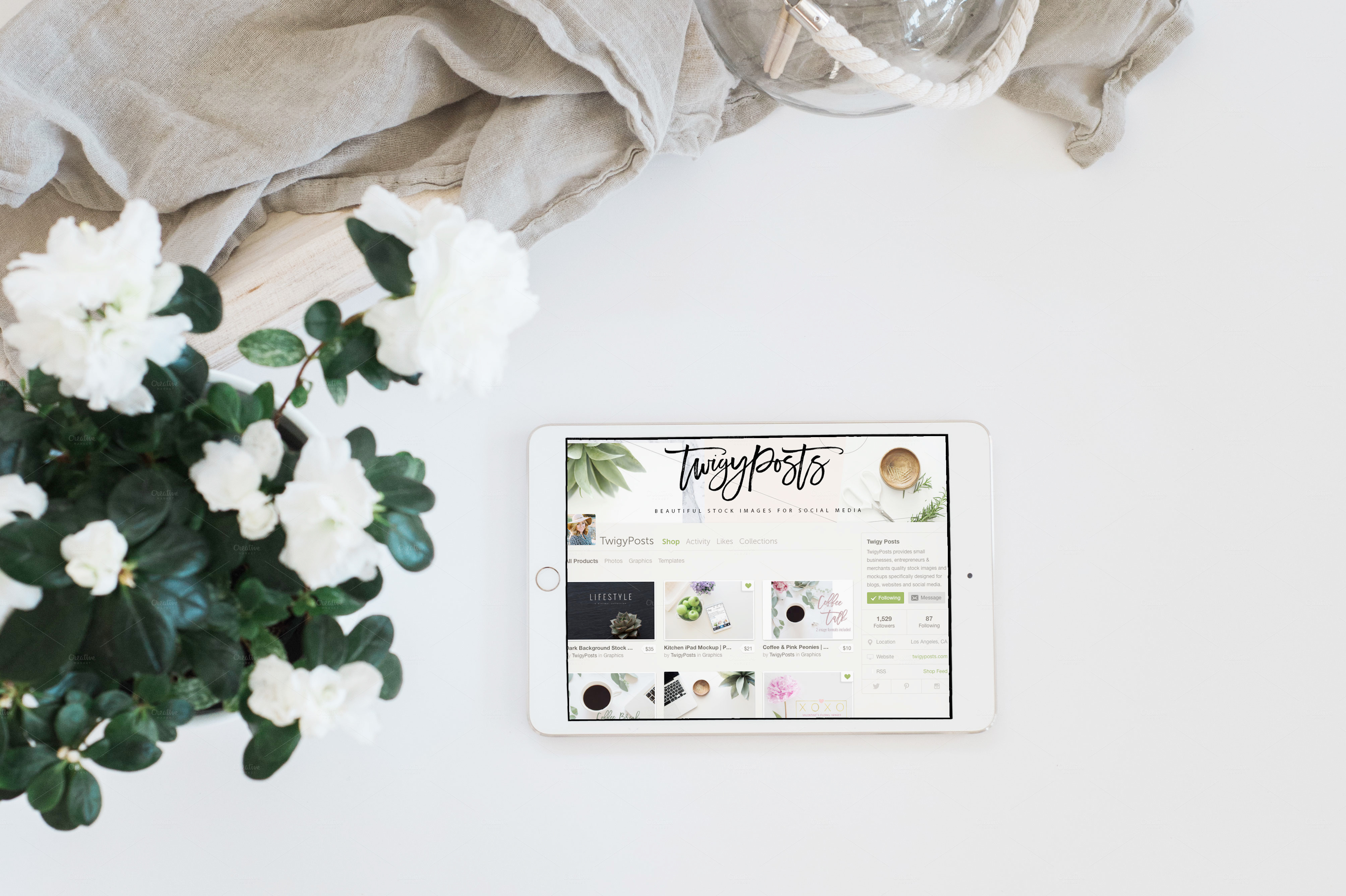 Stock Photo Mockup | Landscape iPad, an iPad Mockup by JanaBishopCollection