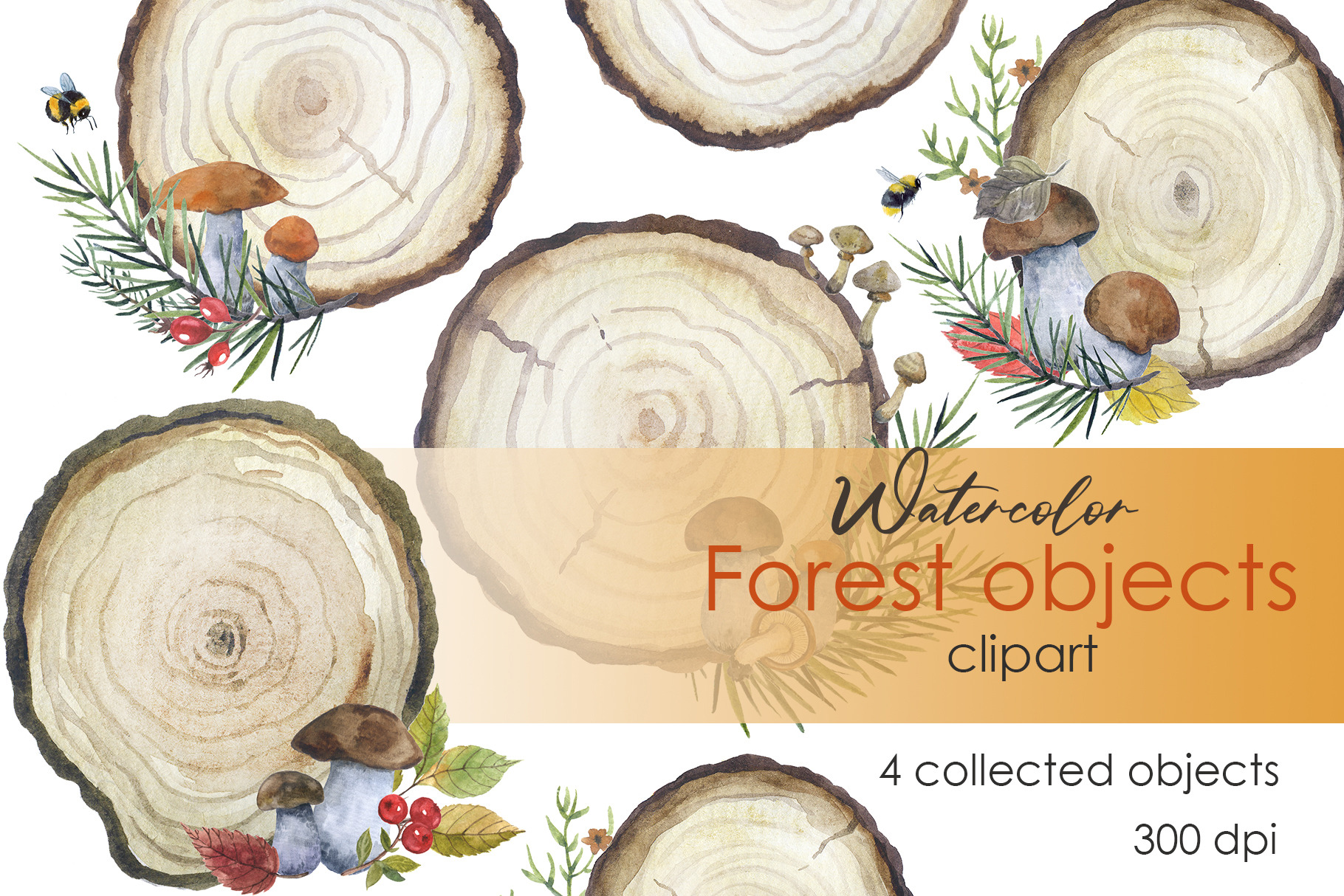 Watercolor clipart. Fall Autumn png, a Decorative Illustration by ...