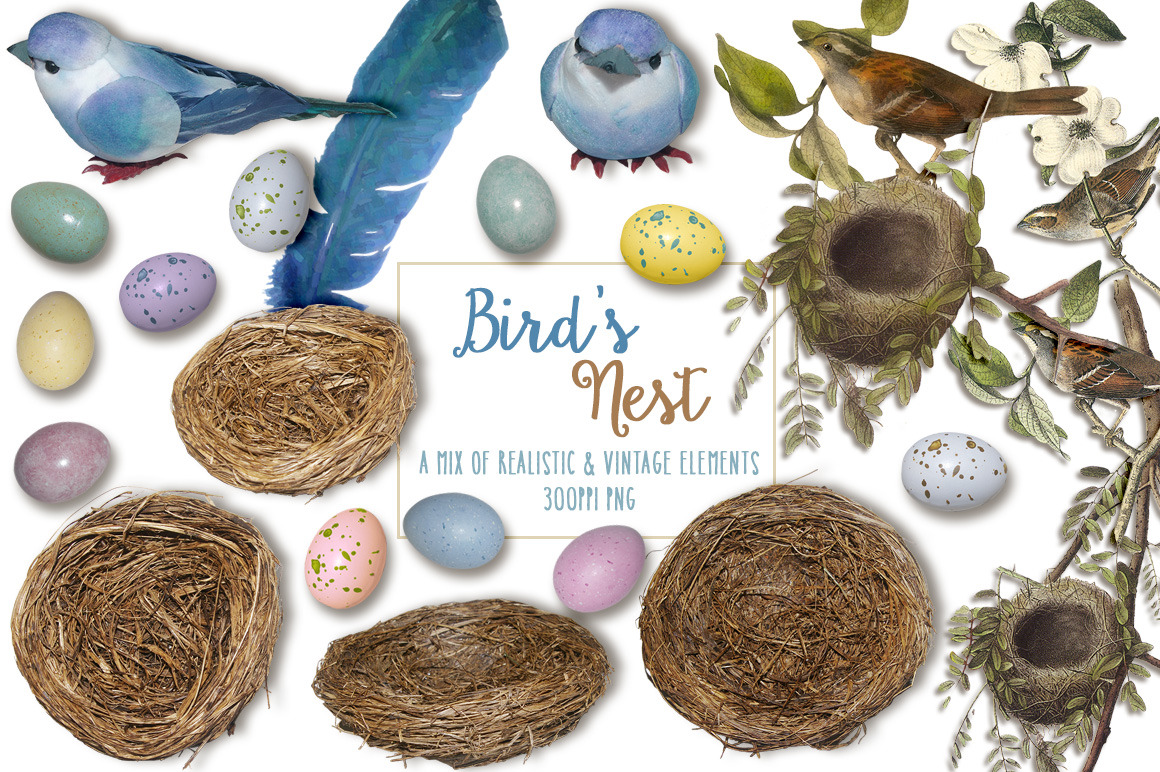 Bird's Nest Elements, an Object Graphic by Studio Kitsch