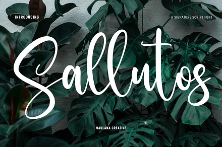 Harukaze Brush Font, a Script Font by NUGS