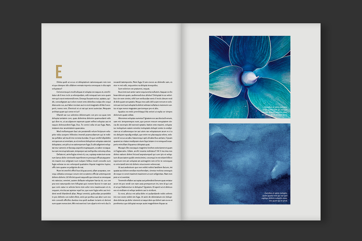Alternative Magazine Layout, a Magazine Template by tomsarraipodesign