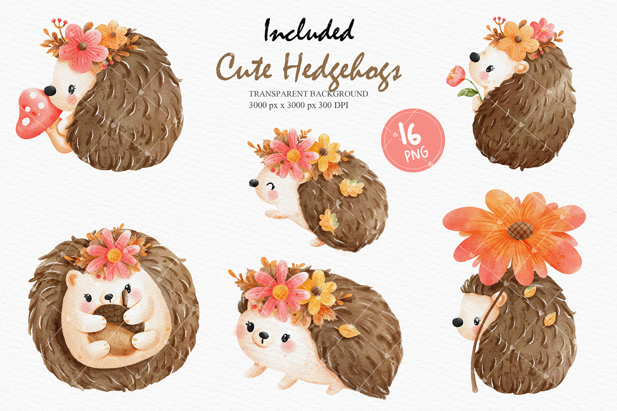 Autumn hedgehogs cliparts, an Animal Illustration by Chonnieartwork