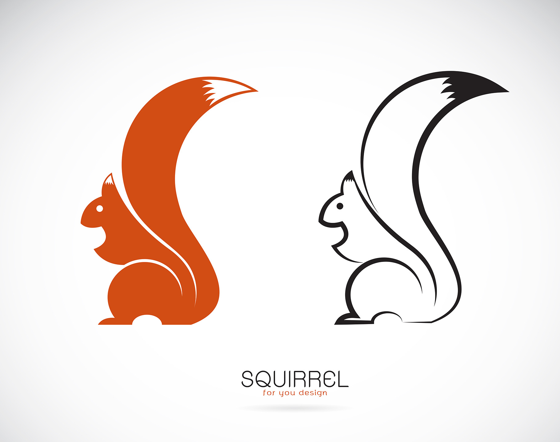 Vector of squirrel design. Animal. | Icons ~ Creative Market