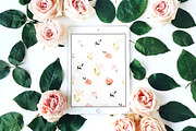 Tablet & roses, an Arts & Entertainment Photo by Floral Deco