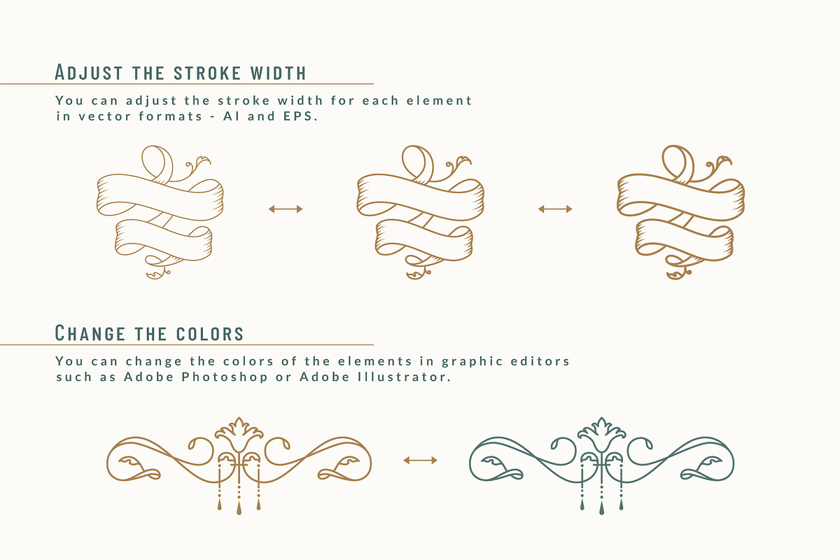 Vintage Ornaments. Vector collection, an Object Graphic by ...