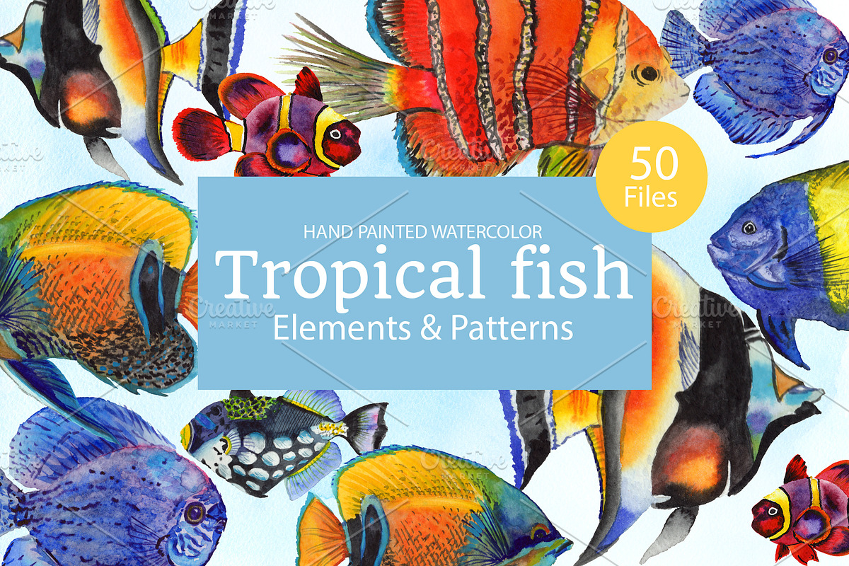 Fish illustration watercolor clipart, an Illustration by WatercolorPNG.com