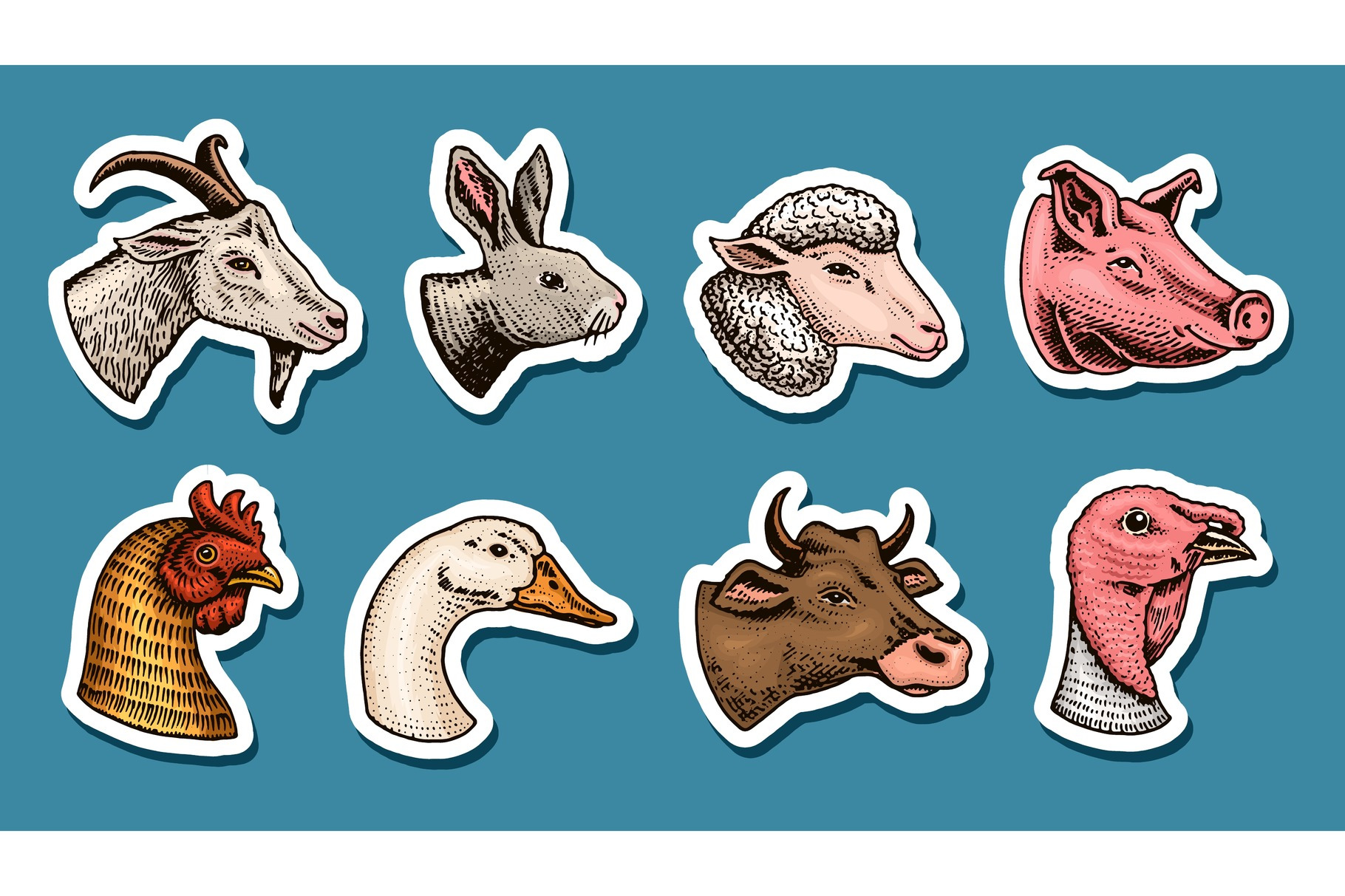Farm animals. Head of a | Animal Illustrations ~ Creative Market
