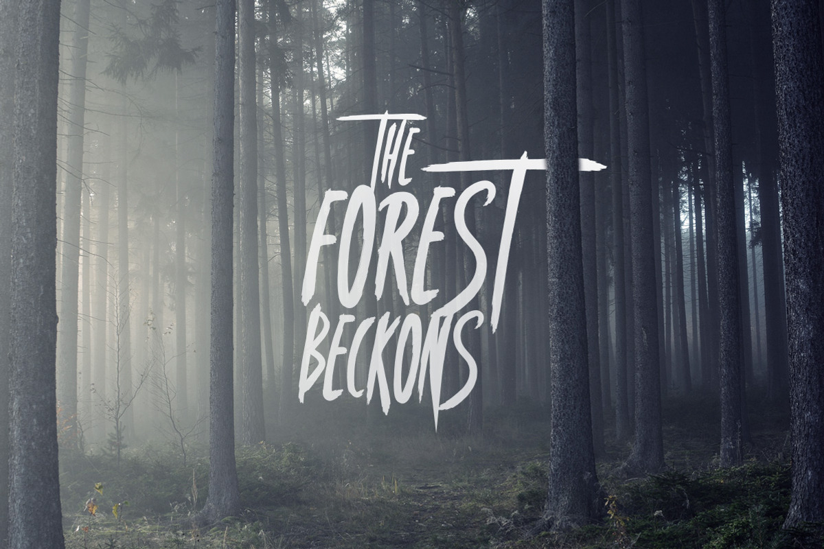 Covenant - Brush Font, a Script Font by Tugcu Design Co.