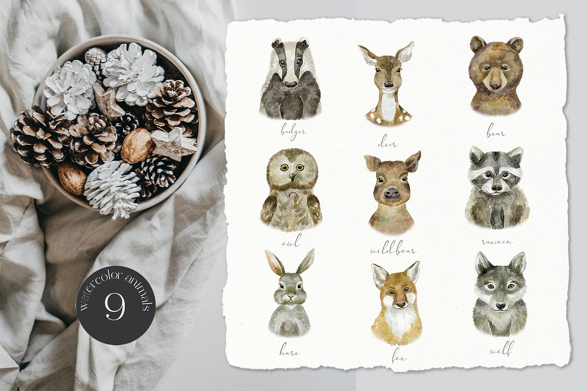 Forest Animals. Character Creator., an Animal Illustration by Designwork