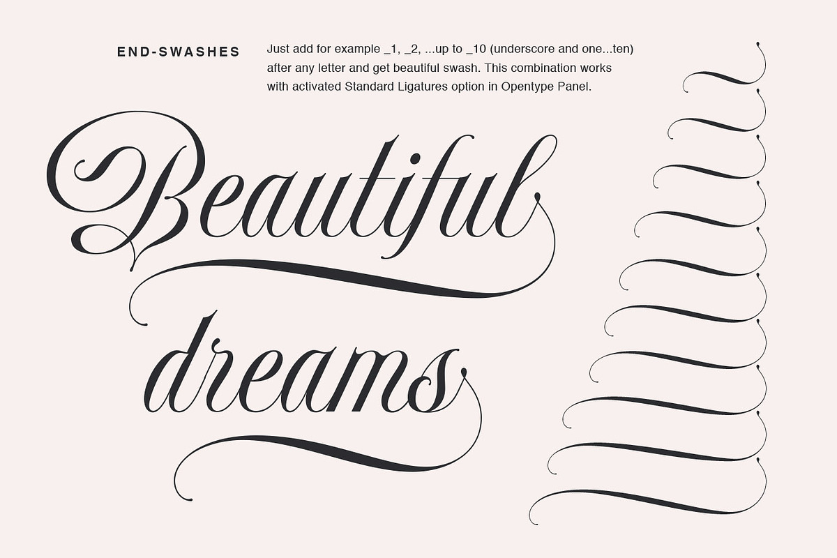 Delirian Script & Ornaments, a Script Font by Andrey Sharonov