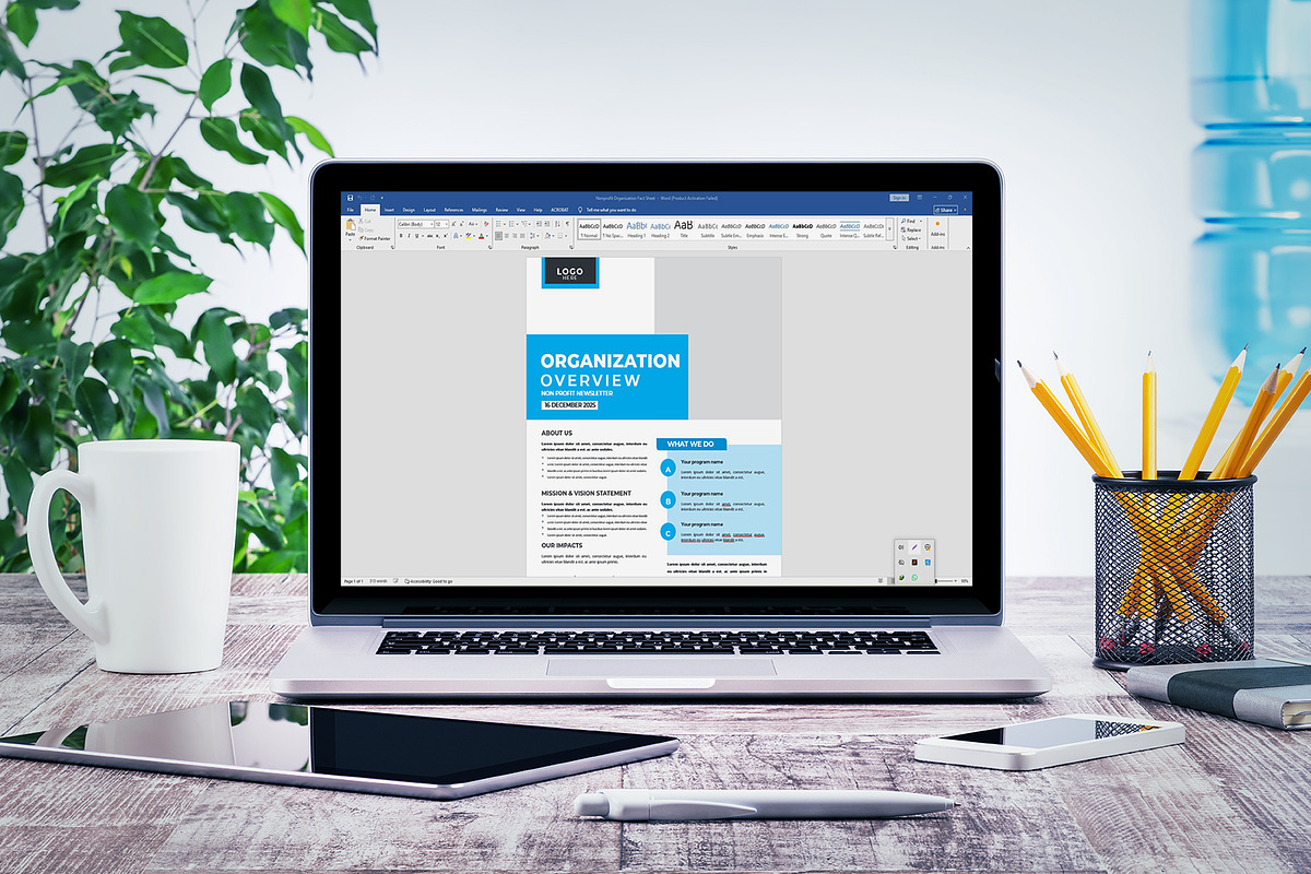 Nonprofit Organization Fact Sheet, a Flyer Template by obayes
