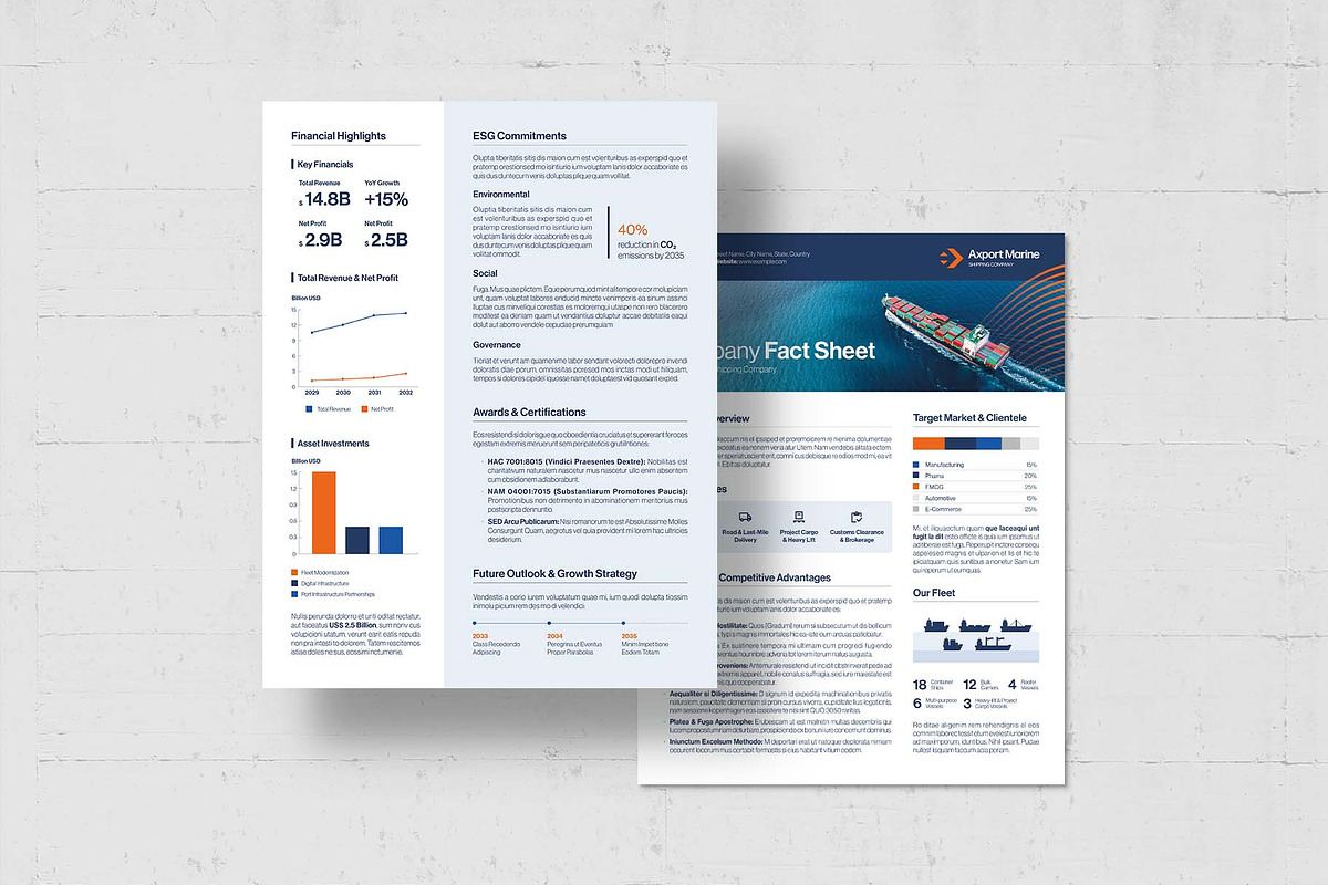 Fact Sheet Template, a Flyer Template by BrandPacks | Creative Market