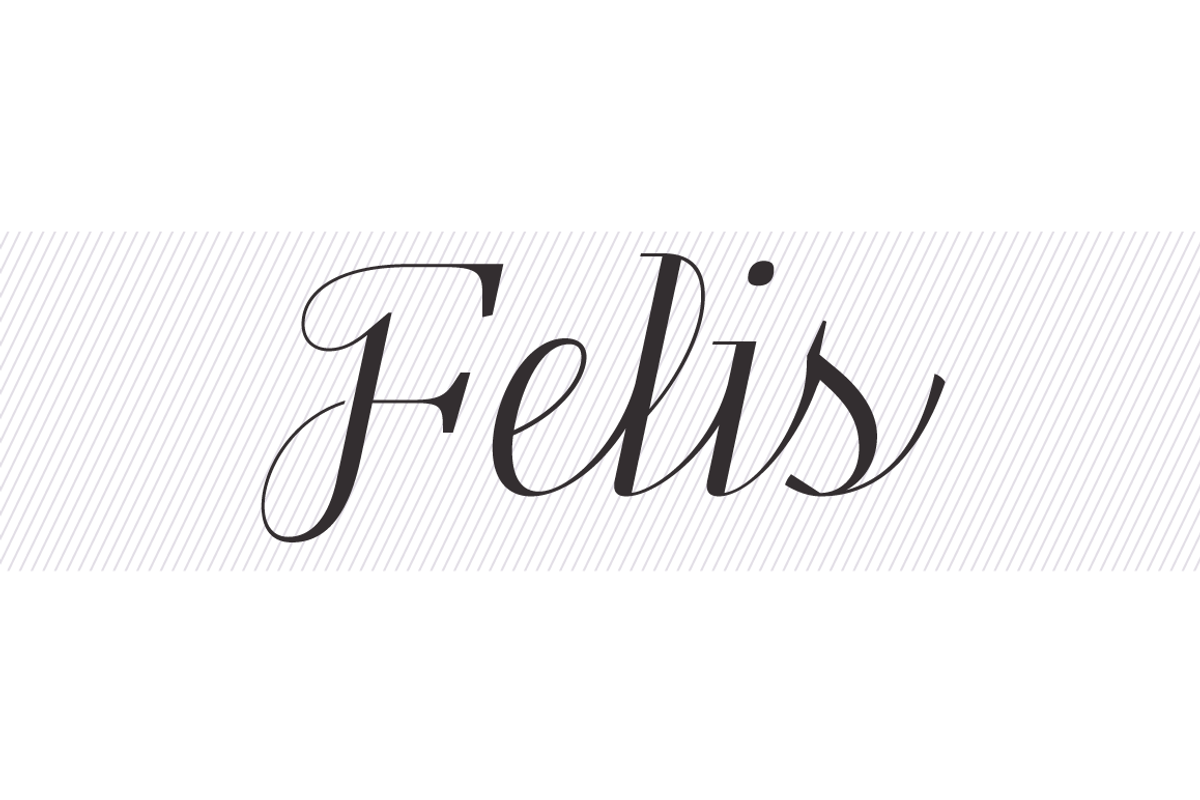Felis Script, a Script Font by Typomancer