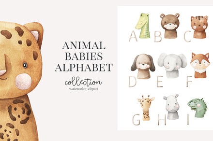 Spanish alphabet with Animals | Animal Illustrations ~ Creative Market