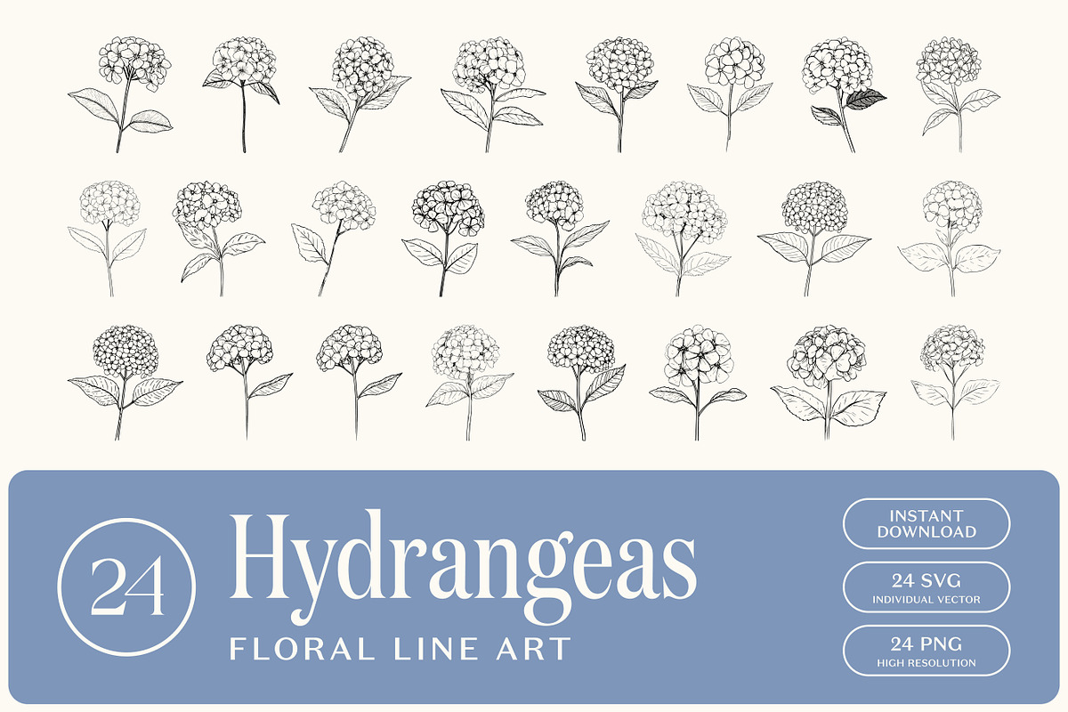 Hydrangeas Floral Line Art, an Illustration by Plantyful